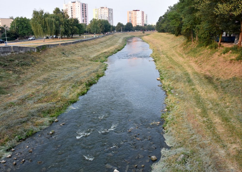 Pri rieke Laborec v Michalovciach vysadili nové stromčeky, opätovne ich ...