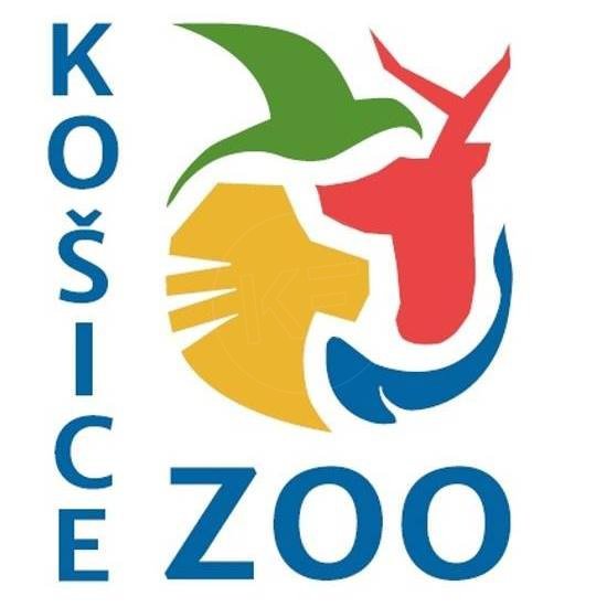 ZOO Košice má nové logo | Košice Online